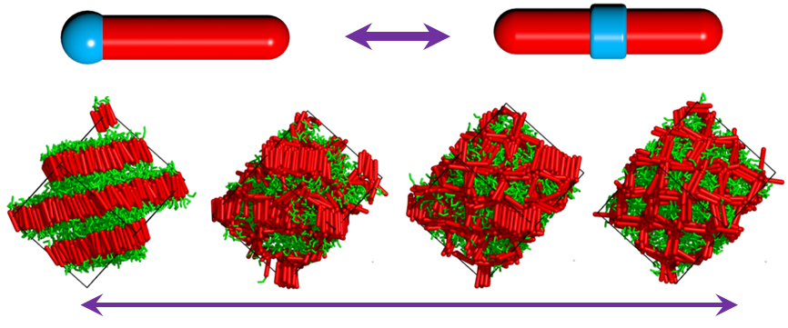 Soft Matter Simulation Lab